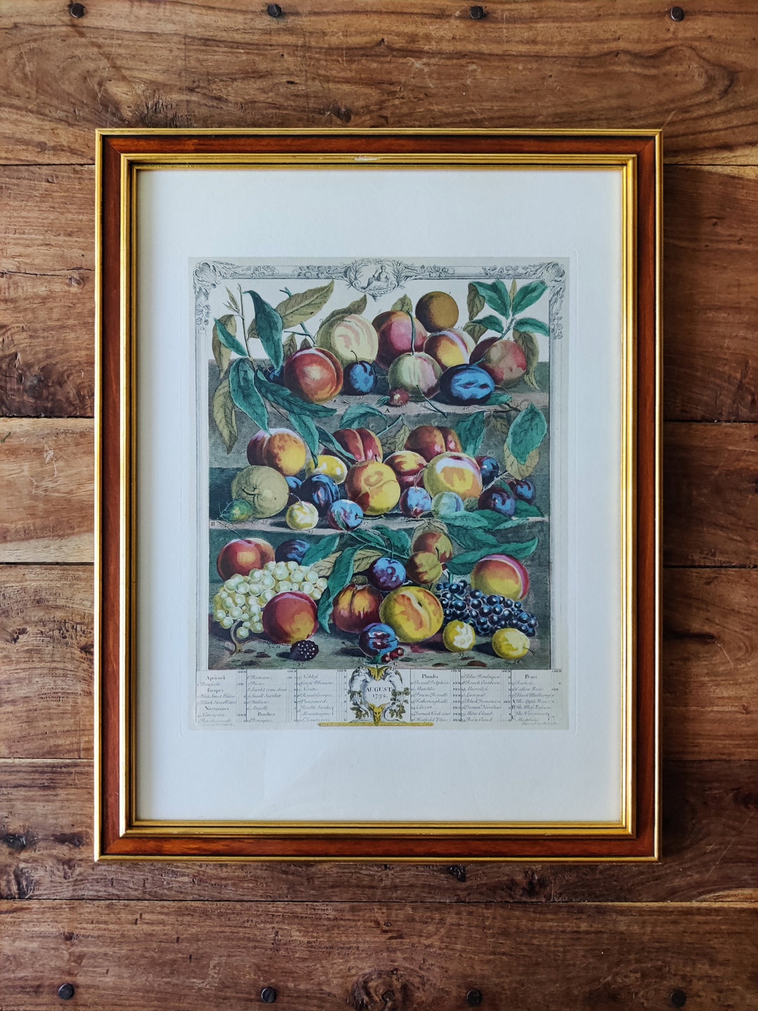 Robert Furber Hand Colored Etched Print Original Art Botanical Art ...