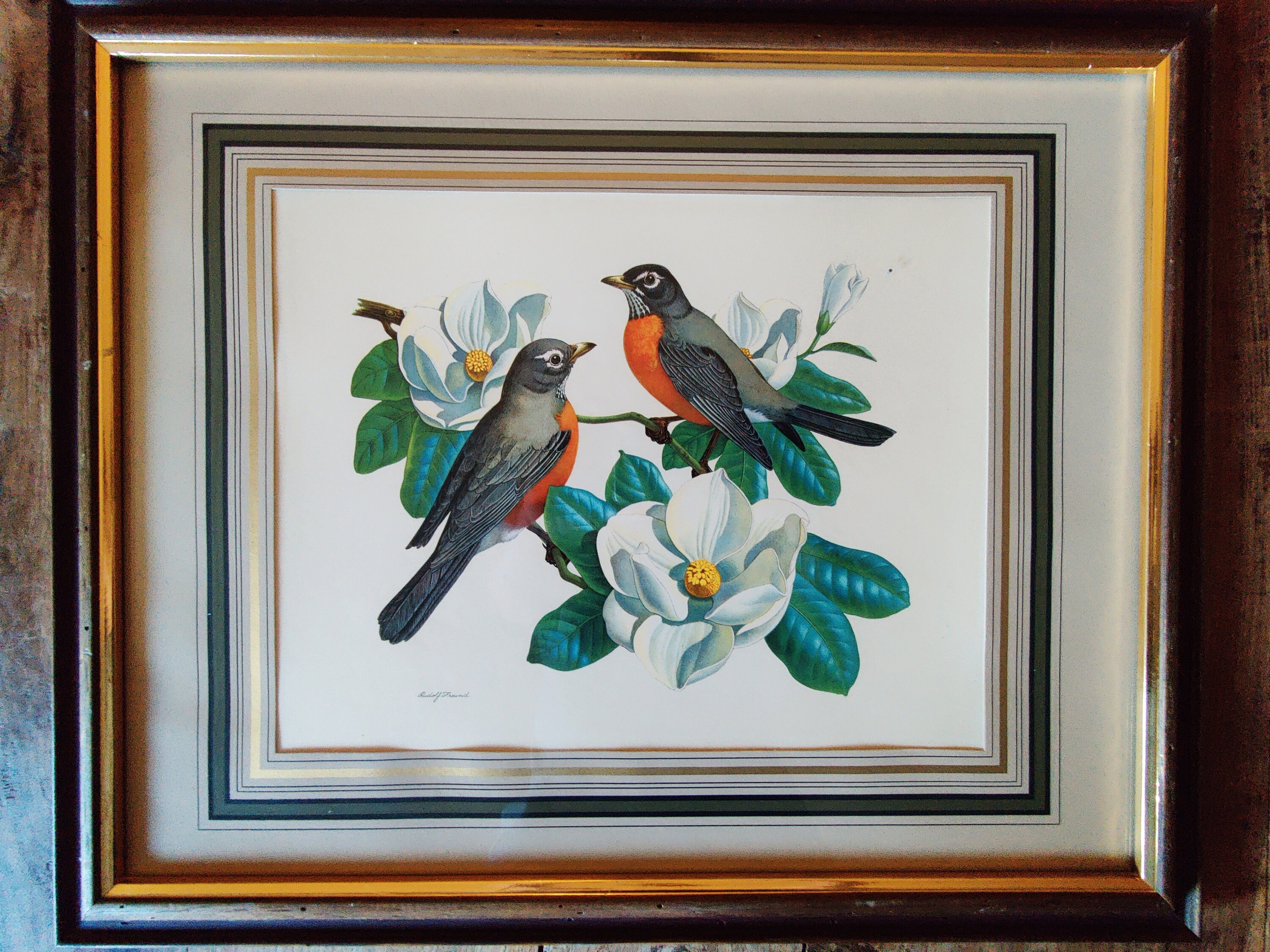 Rudolf Freund Lithographie Turner Wand Zubehör Mid Century Art | Etsy