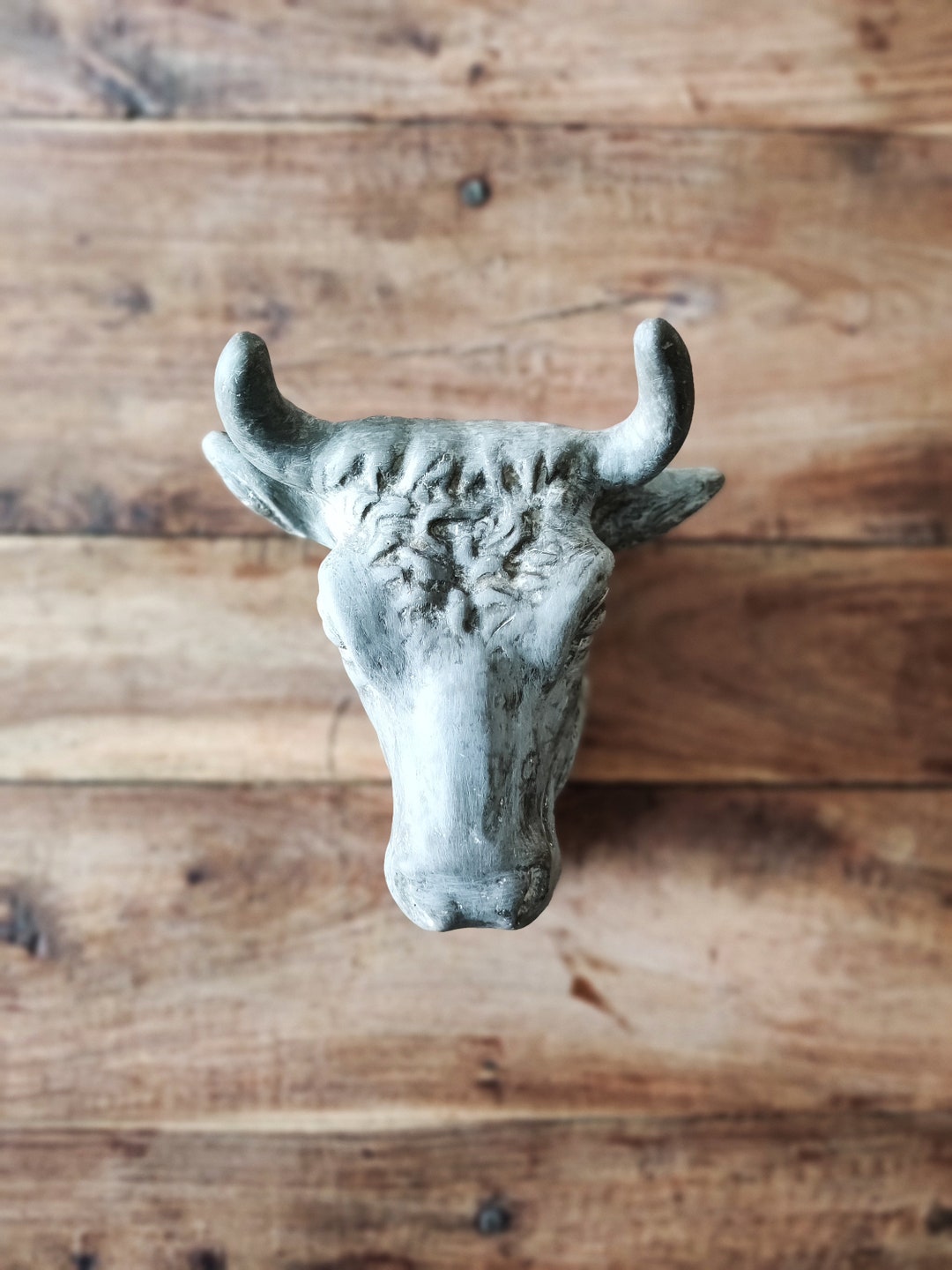 Abattoir Cow Bust Wall Art Bull Sculpture Cow Bust - Etsy