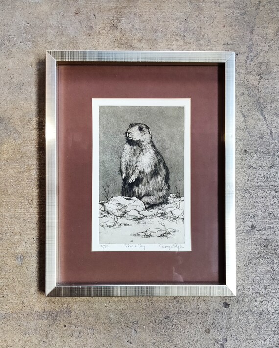 Can You Own A Prairie Dog In Illinois