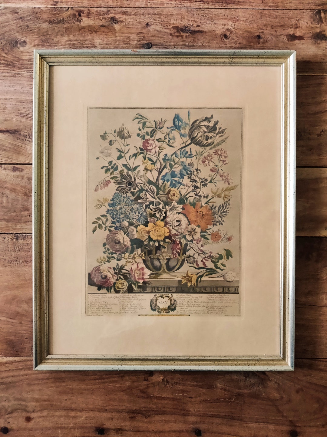 Robert Furber Hand Colored Engraving Antique Botanical Prints - Etsy