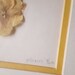 Limited Edition Serigraph by P Bass Original Art Floral Art P Bass ...