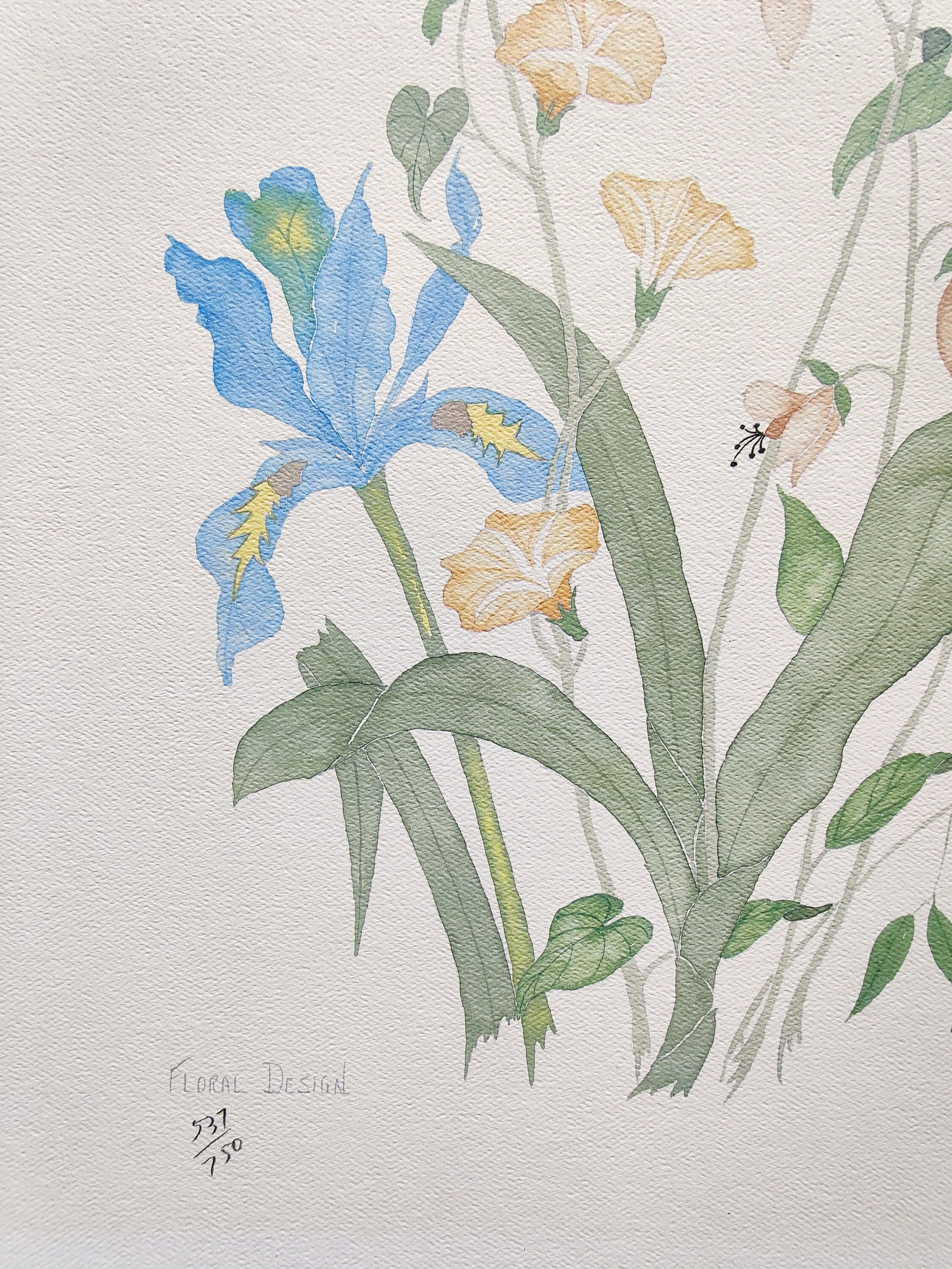 Lithographs signed and numbered/framed Wall Art Botanical Prints Pat ...