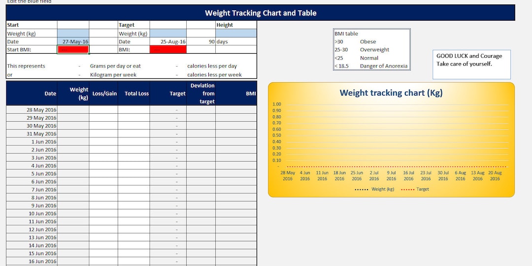 Excel Template, 90 Days, Weight Loss Plan - Etsy