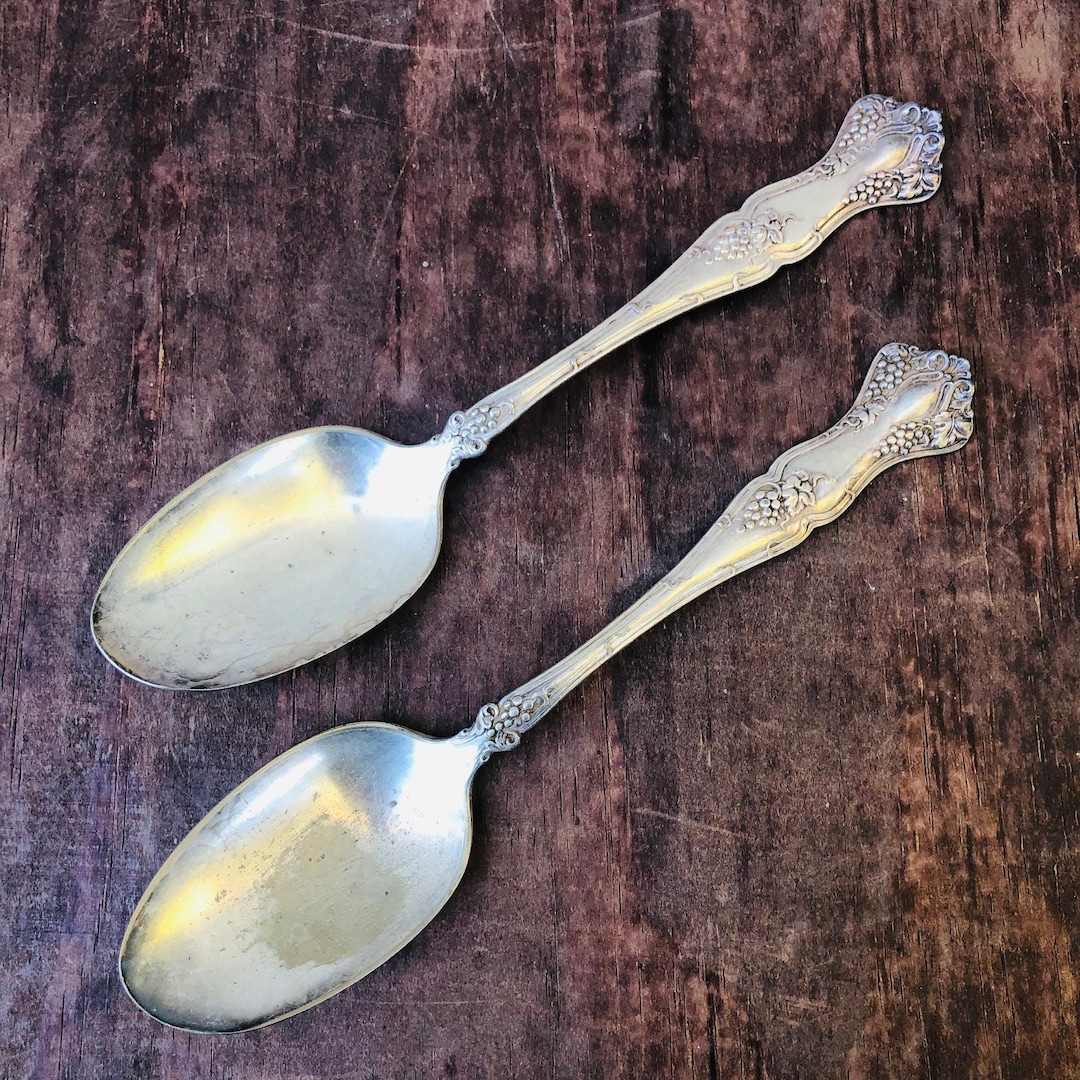 Set of 2 Antique Serving Spoons, 1847 Roger Bros XS Triple, Grape ...