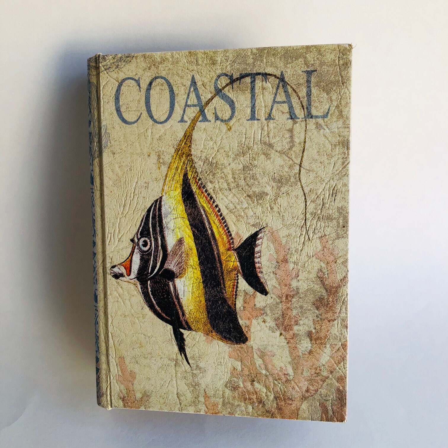 Coastal Book Shaped Box Seaside Beach Ocean Memorabilia | Etsy