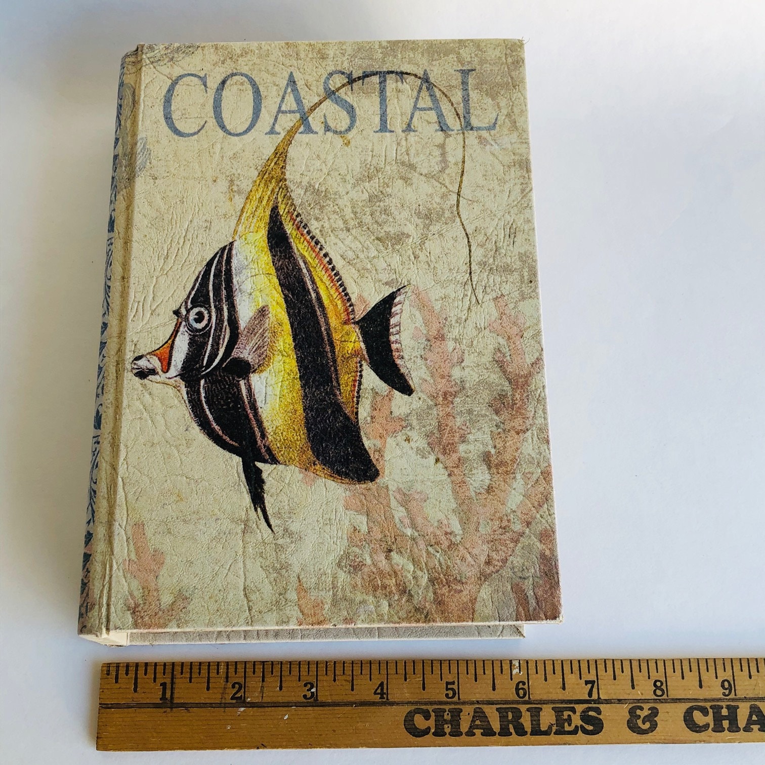 Coastal Book Shaped Box Seaside Beach Ocean Memorabilia | Etsy