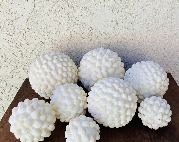 Set of 8 SHELL Decorative Spheres Orbs Globes, Different Sizes Balls ...