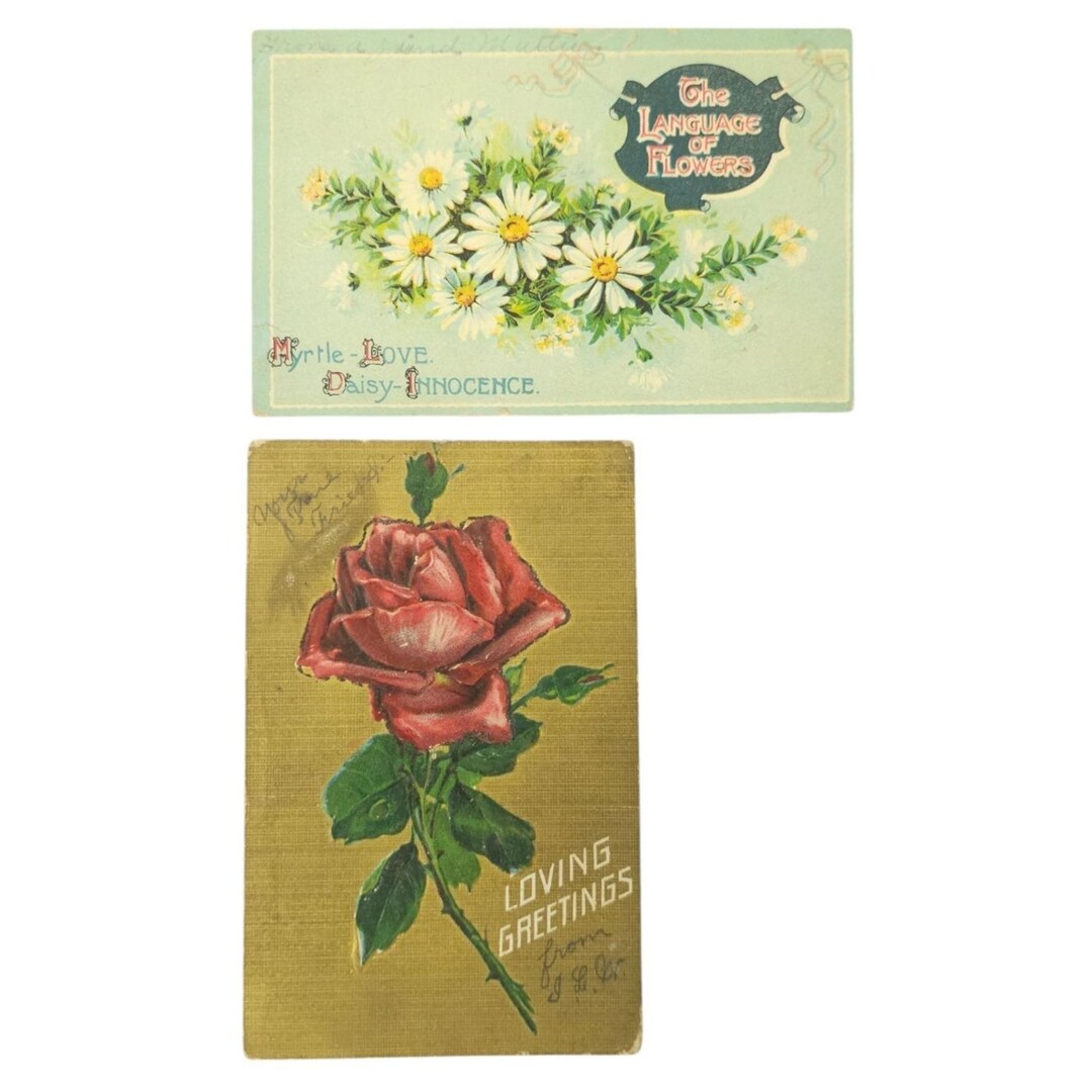 Circa 1900s Myrtle Love Daisy Innocence Rose Loving Greetings Vintage ...