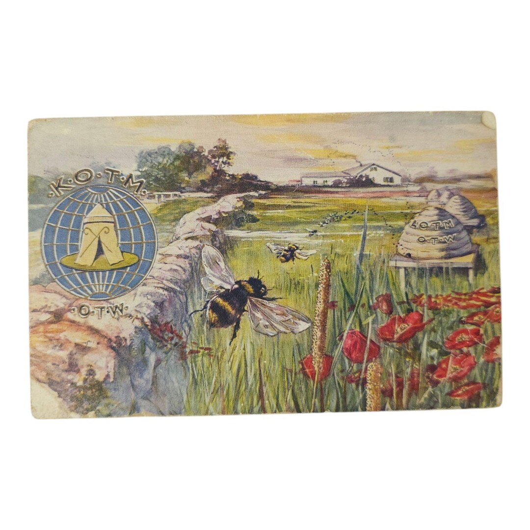 Knights of the Maccabees O.T.W. Postcard Bumble Bees & Hives Fraternal ...