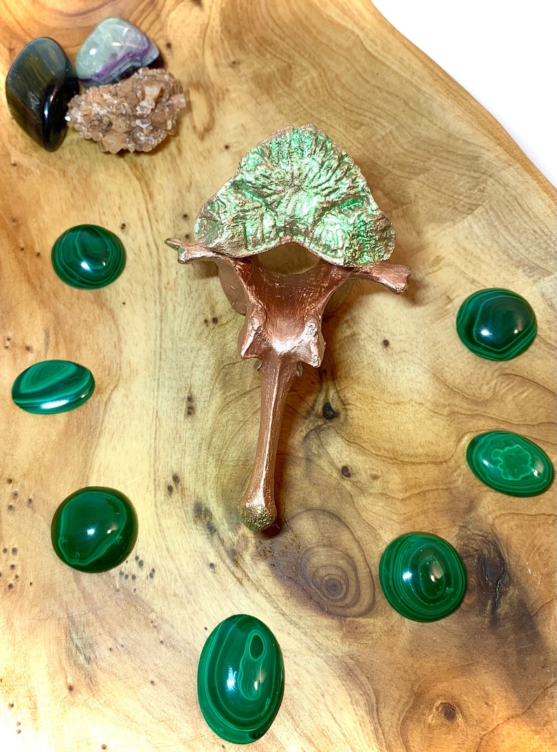 Rose Gold Deer Vertebrae Sculpture – Iridescent Enamel Bone Art - Etsy