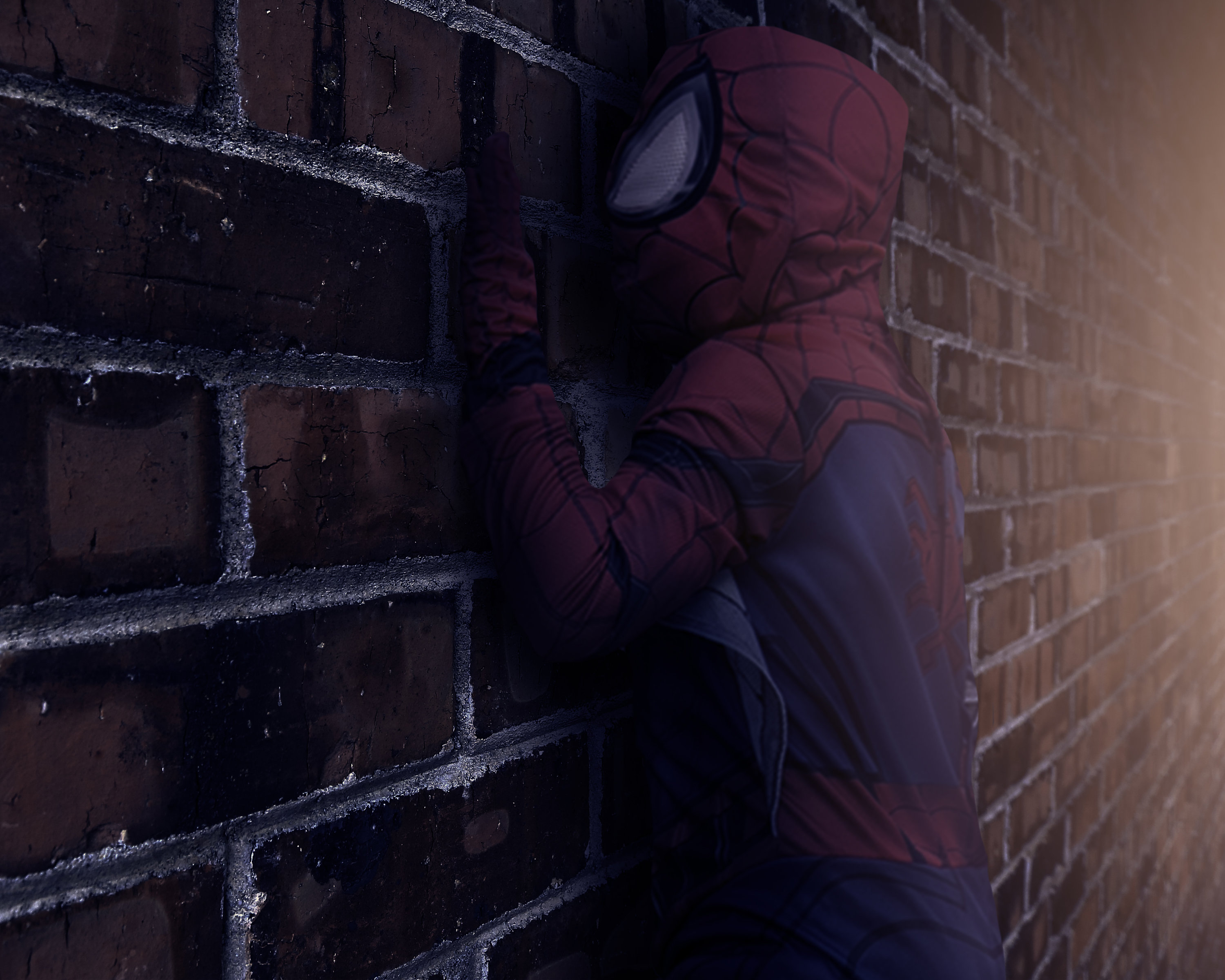 Spiderman Brick Wall Digital Background - Etsy