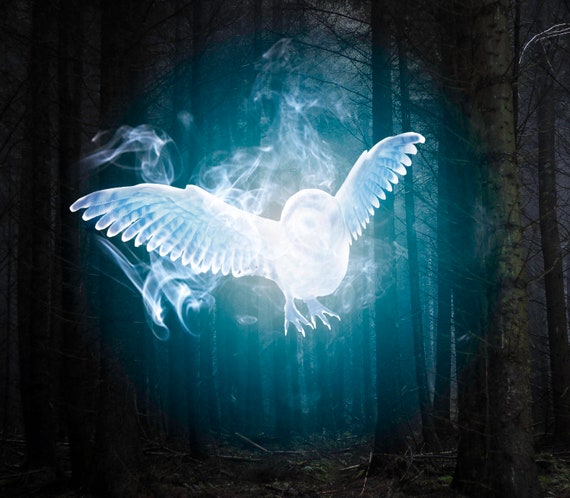 Owl Patronus PNG File for Photoshop - Etsy