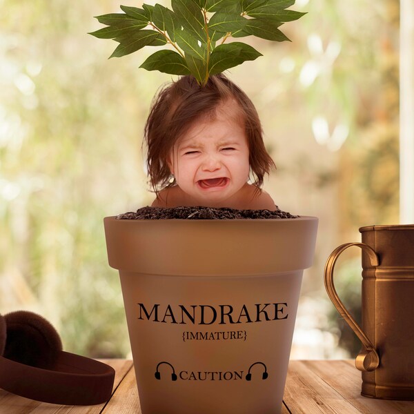 Baby Mandrake Costume - Etsy