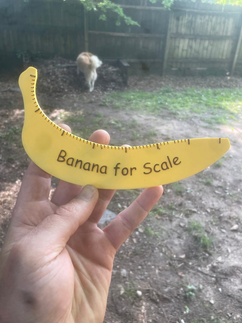 Banana for Scale - Etsy