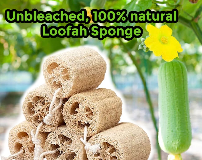 Organic Natural 4 Loofah Loofa Luffa Vegan Loofah - Etsy