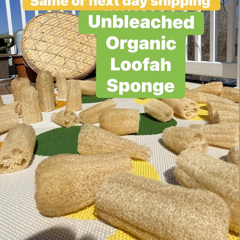 Luffa Sponge - Etsy