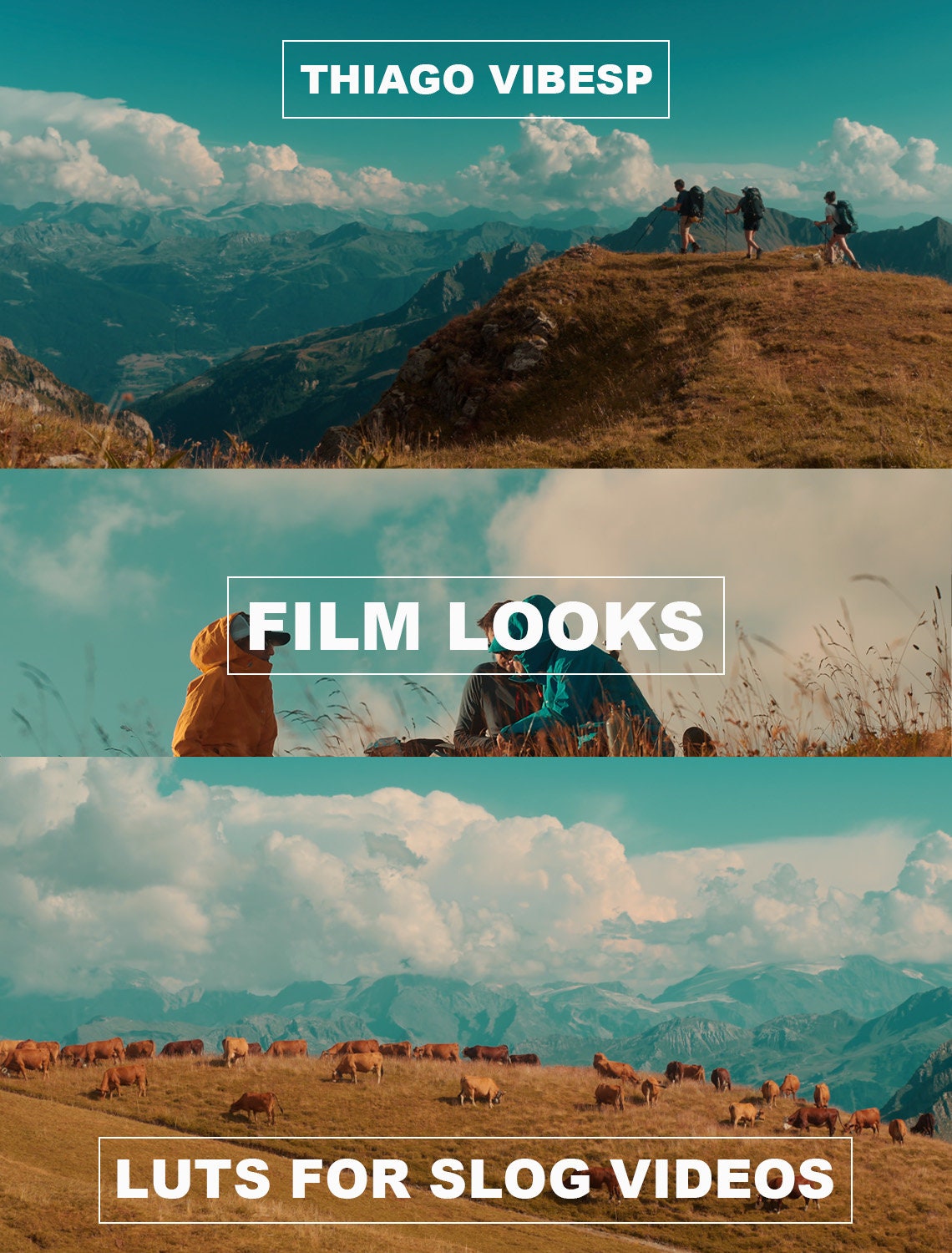 Sony S-log Luts for Davinci Resolve, Premiere Pro, Final Cut Pro ...