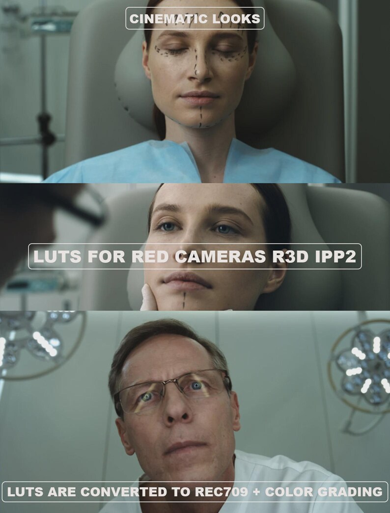 RED IPP2 Cinematic Luts & Color Grading Guide Bundle (PDF) - Etsy Canada