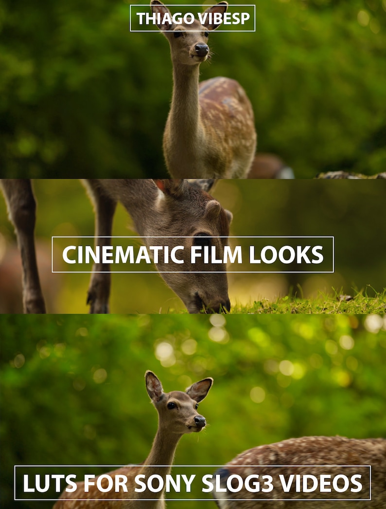 Sony S-log3 Luts: Cinematic Color Grading Presets (digital Download) - Etsy