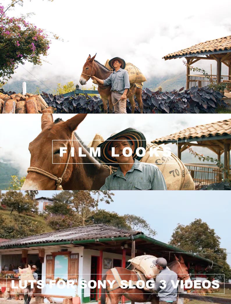 Sony S-log3 Luts: Color Grading Bundle + Workflow Guide - Etsy