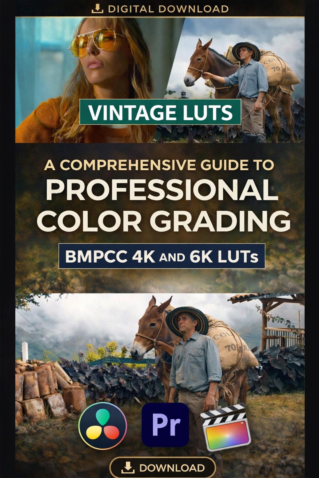 Cine Style Color Grading Guide + BMPCC 4K/6K LUTs (Film Look Presets ...