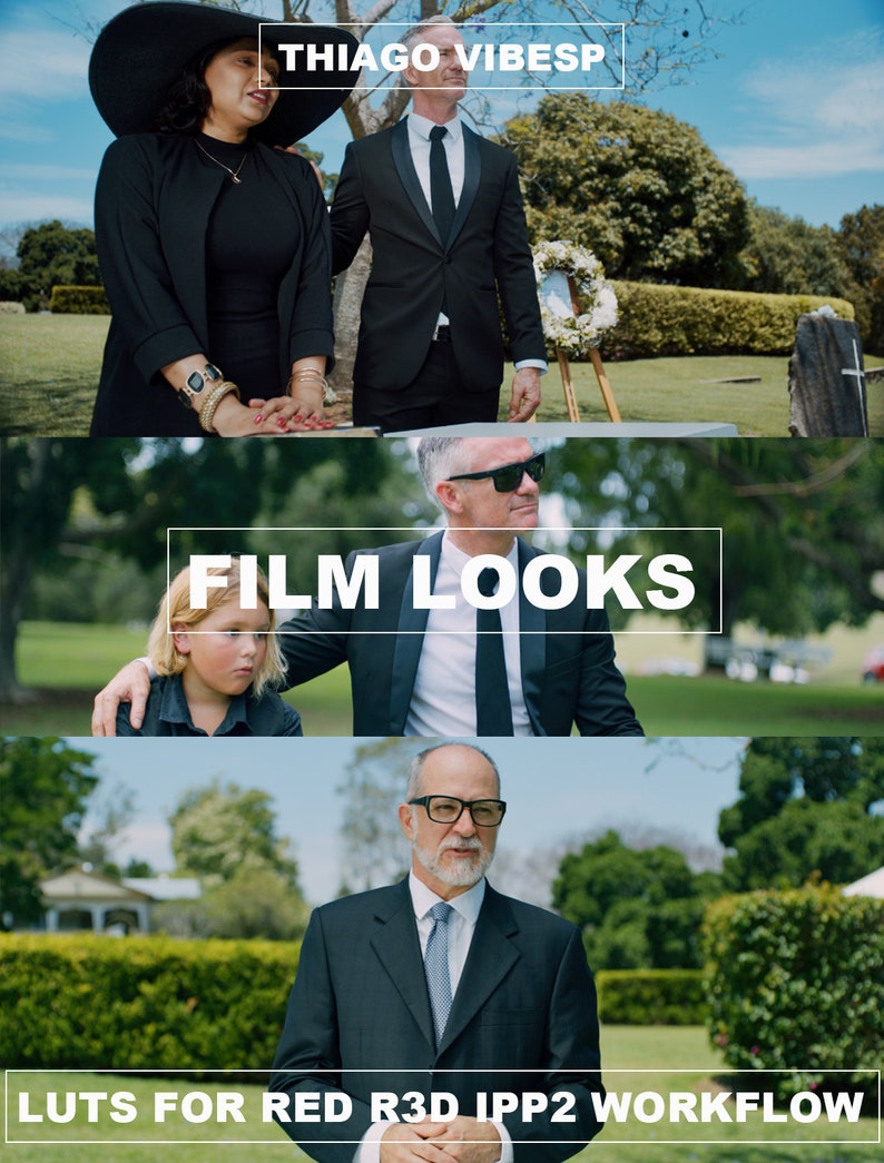 Film Looks Red Cameras R3D Ipp2 Workflow - Etsy