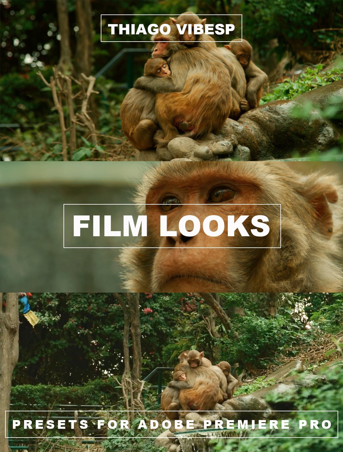 Cinematic Red Camera Presets for Adobe Premiere Pro - Etsy