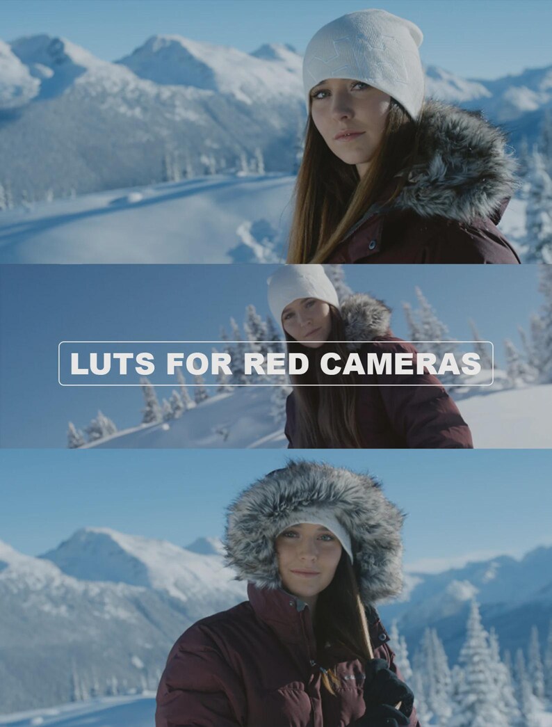 RED IPP2 Cinematic Luts & Color Grading Guide Bundle (PDF) - Etsy Canada