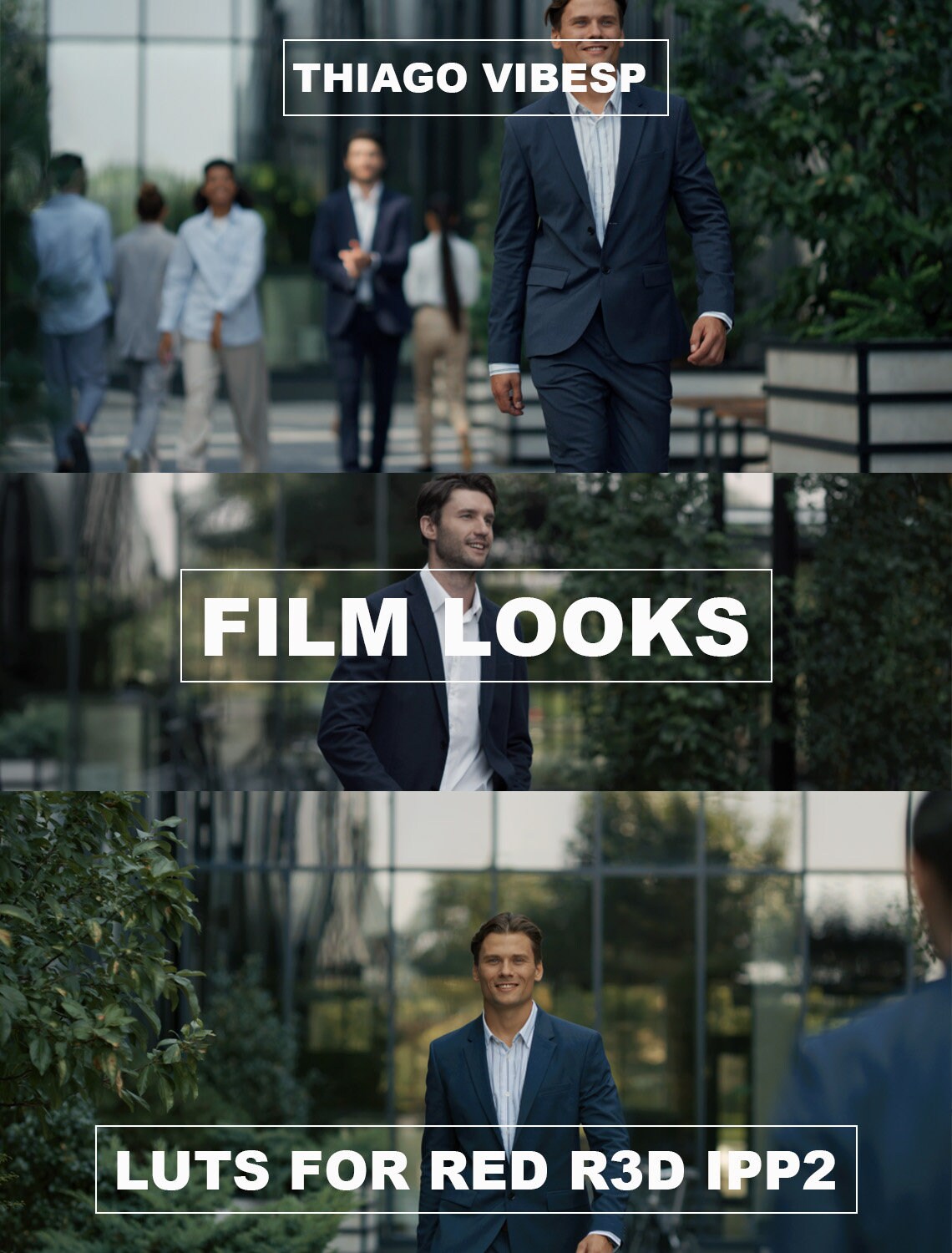 Film Looks Red Cameras R3D Ipp2 Workflow - Etsy