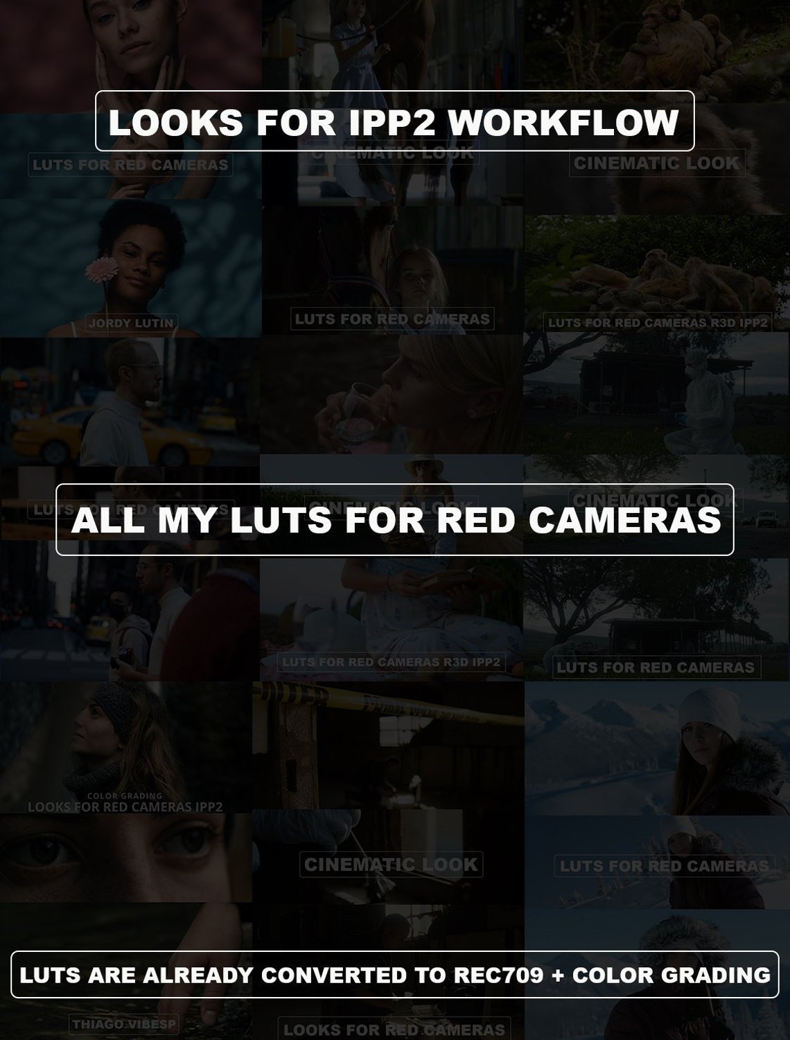 Ultimate Creator's Bundle: 3000 Luts, Presets, Capture One Styles, Photoshop Actions Lifetime ...