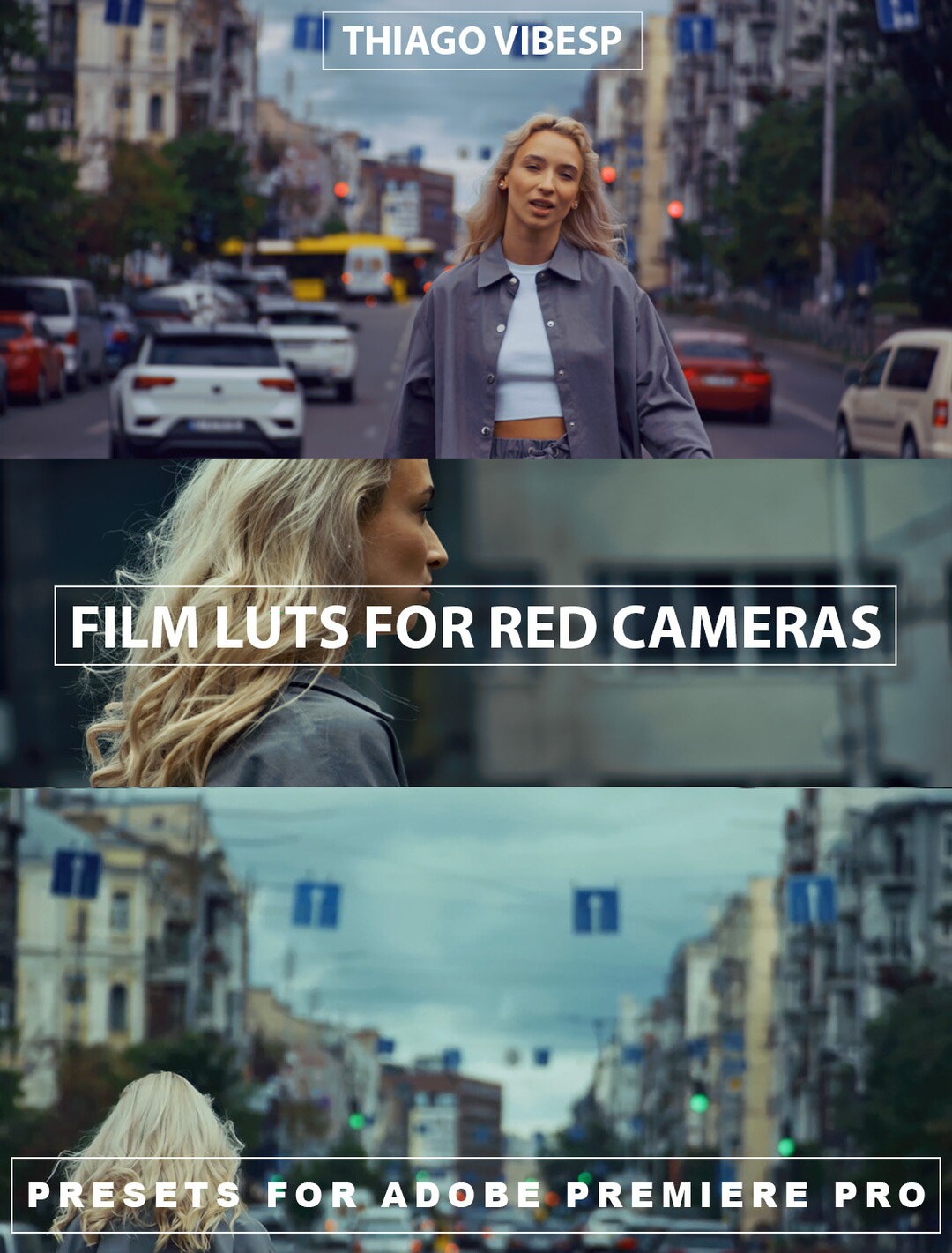 RED Camera Luts for Premiere Pro | Stunning Color Grading Presets for ...
