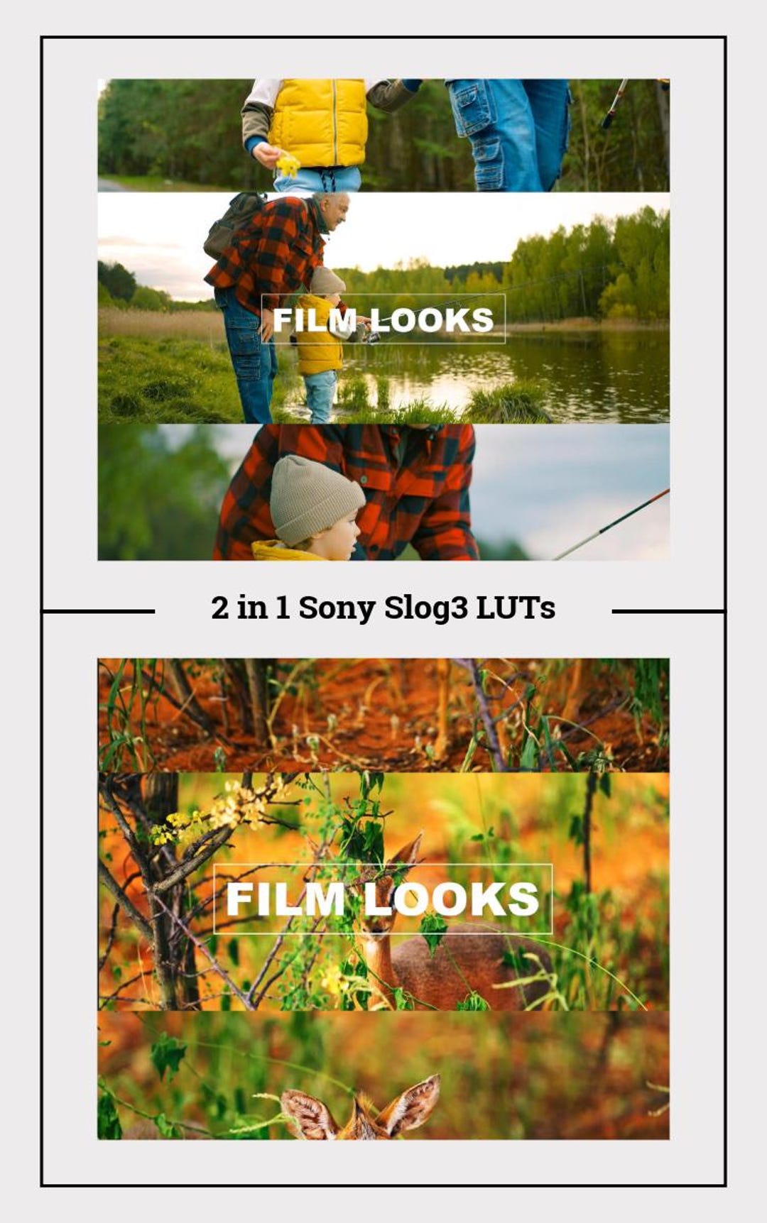 Sony Slog3 Luts: Cinematic Color Grading Presets - Alpha, FX3 and More ...