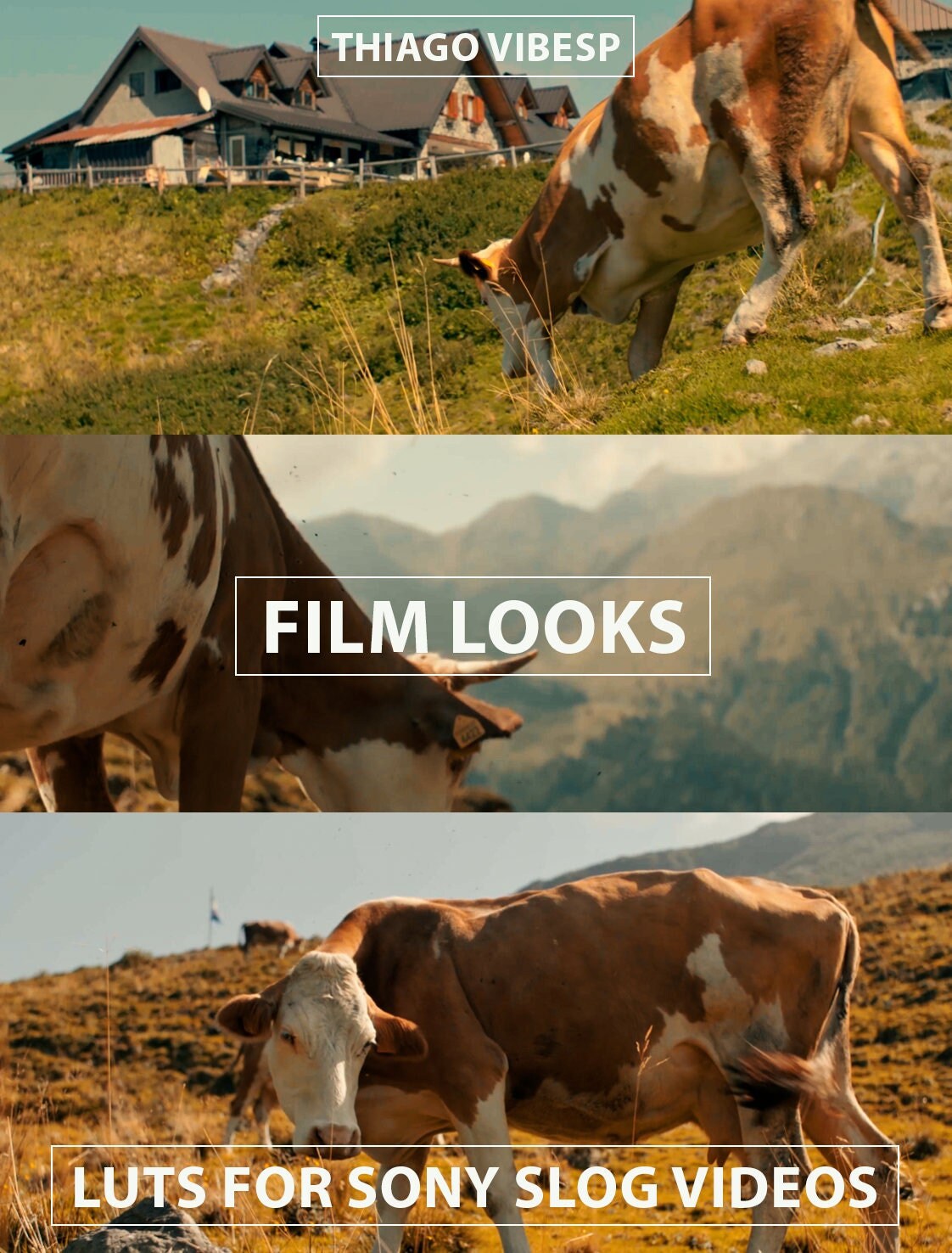 Premium Sony S-log Luts Collection Cinematic Color Grading for ...