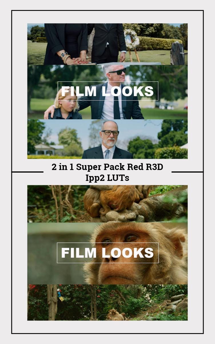 Cinematic Luts: RED IPP2 Workflow, Color Grading (digital Download) - Etsy