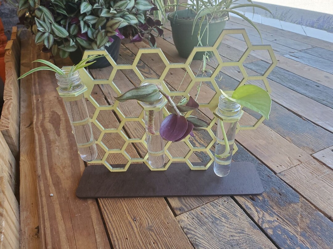 Laser Cut Bee Hive Honeycomb Propagation Station - Free Standing ...