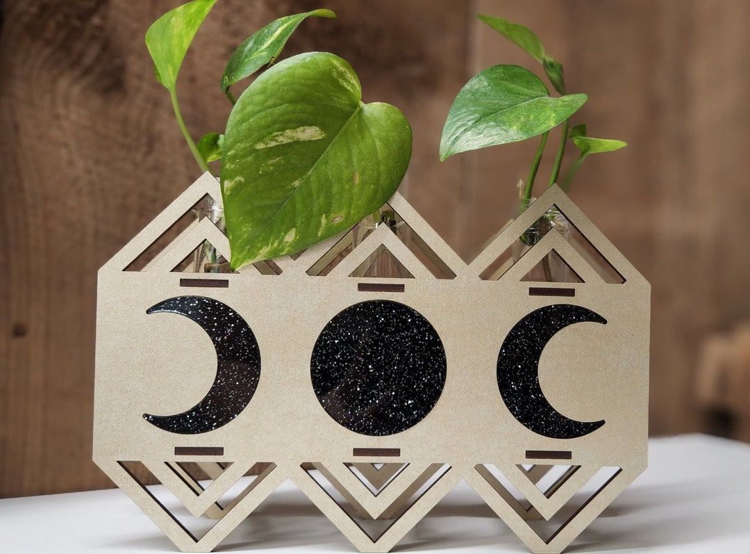 Laser Cut Moon Phase 3 Tube Plant Propagation Station - Bud Vase Table ...