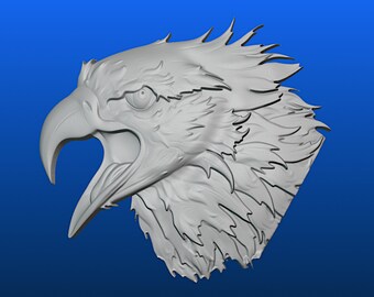 Bald Eagle Head | Etsy