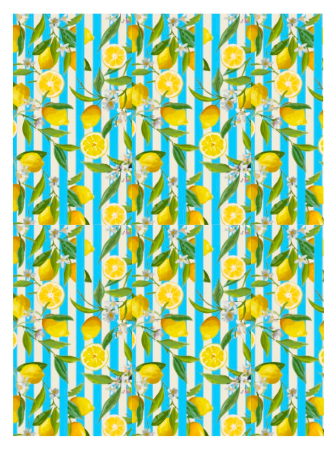 Summer Lemons Fruits Transfer Paper for Clay. TS00229 - Etsy