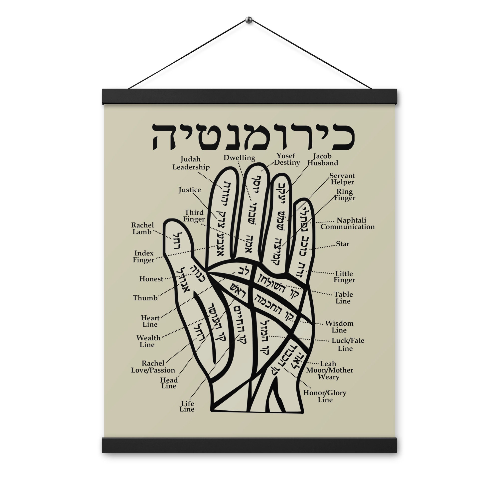 Hebrew Chiromancy/palmistry Poster With Hangers - Etsy