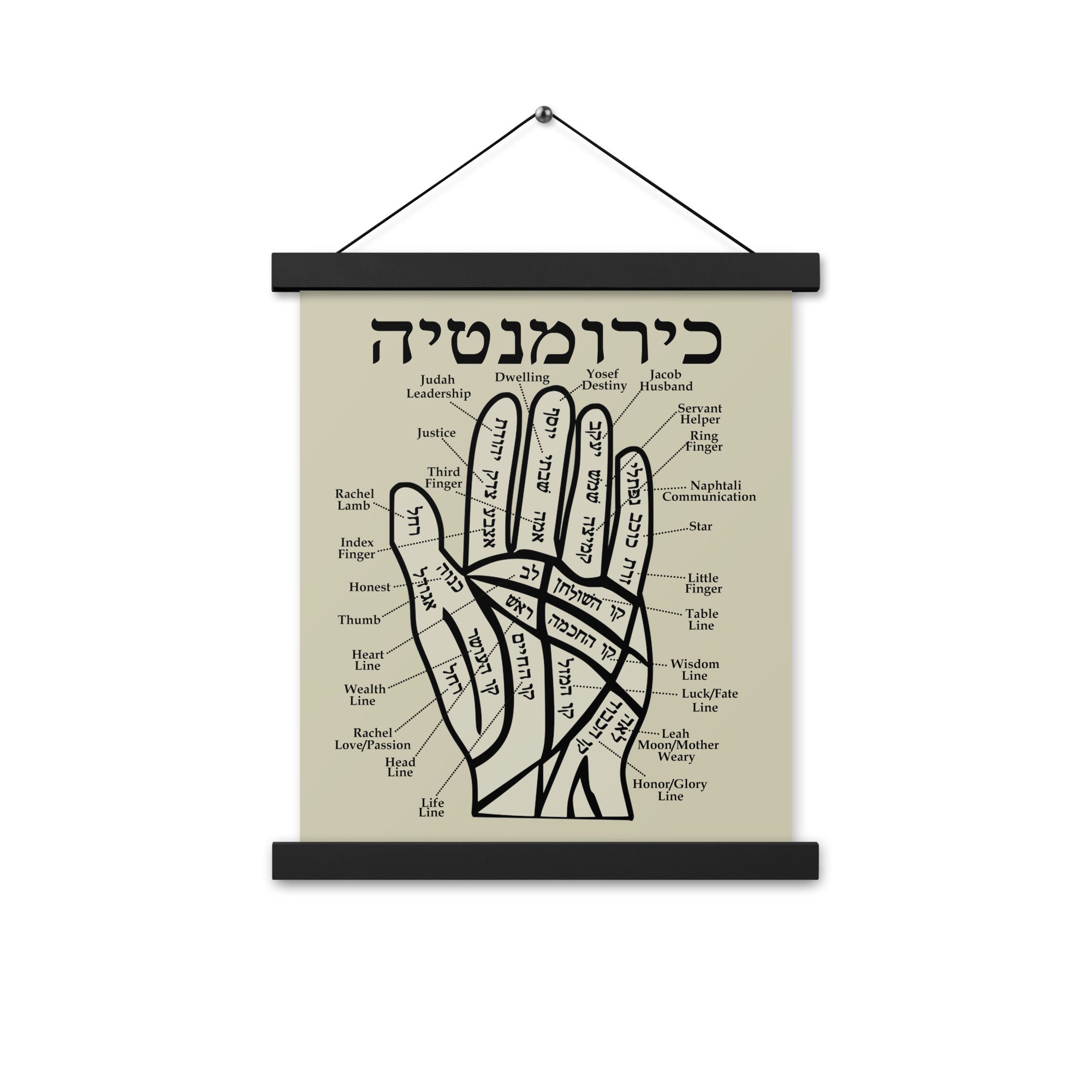 Hebrew Chiromancy/palmistry Poster With Hangers - Etsy