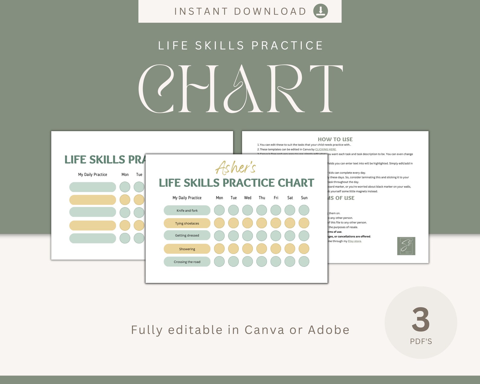 Editable Skills Chart Therapy Chart Life Skills Chart Special Needs ...