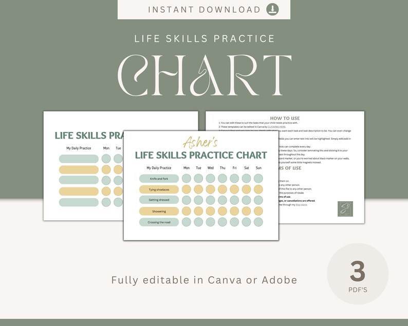 Editable Skills Chart Therapy Chart Life Skills Chart Special Needs ...