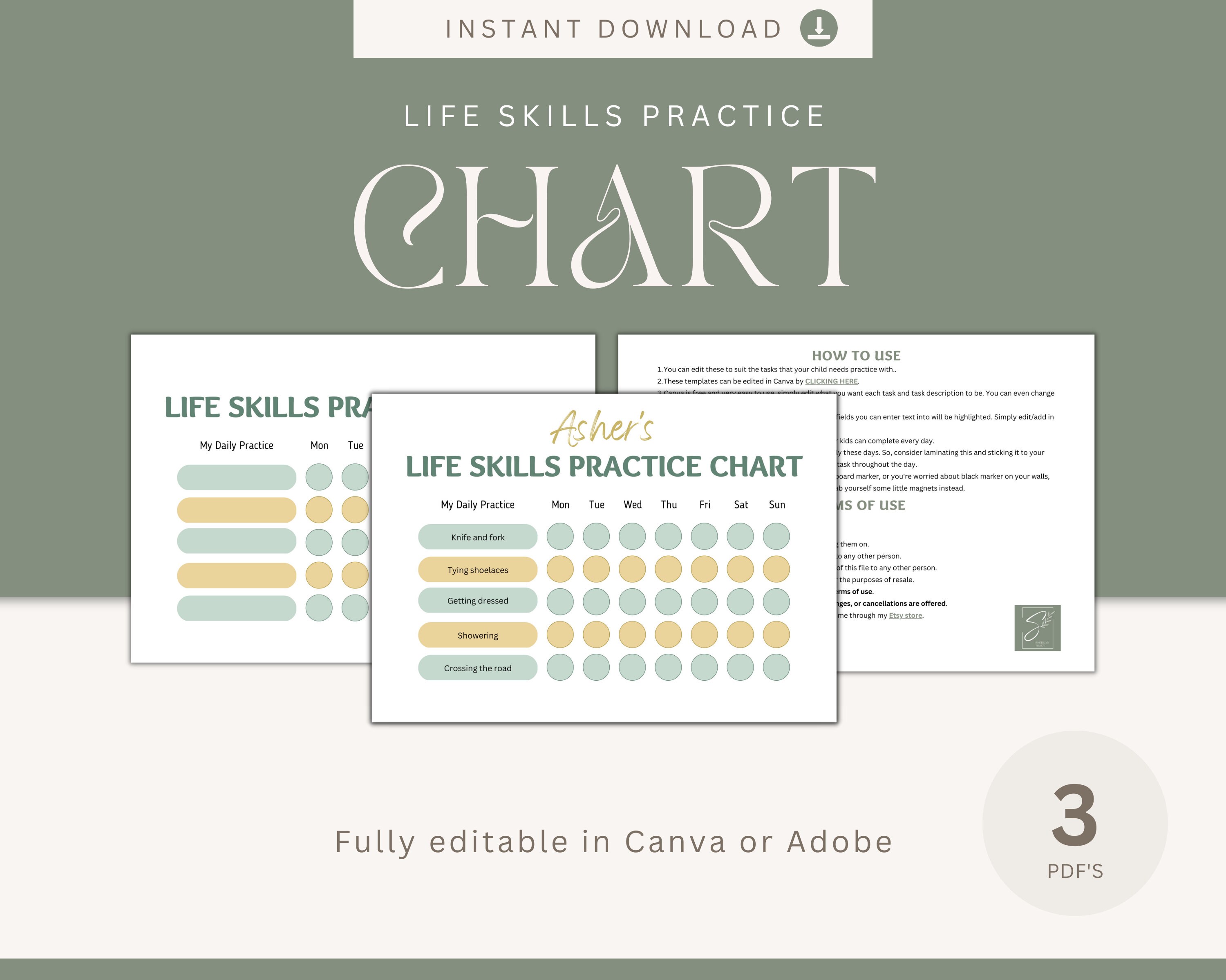 Editable Skills Chart Therapy Chart Life Skills Chart Special Needs ...