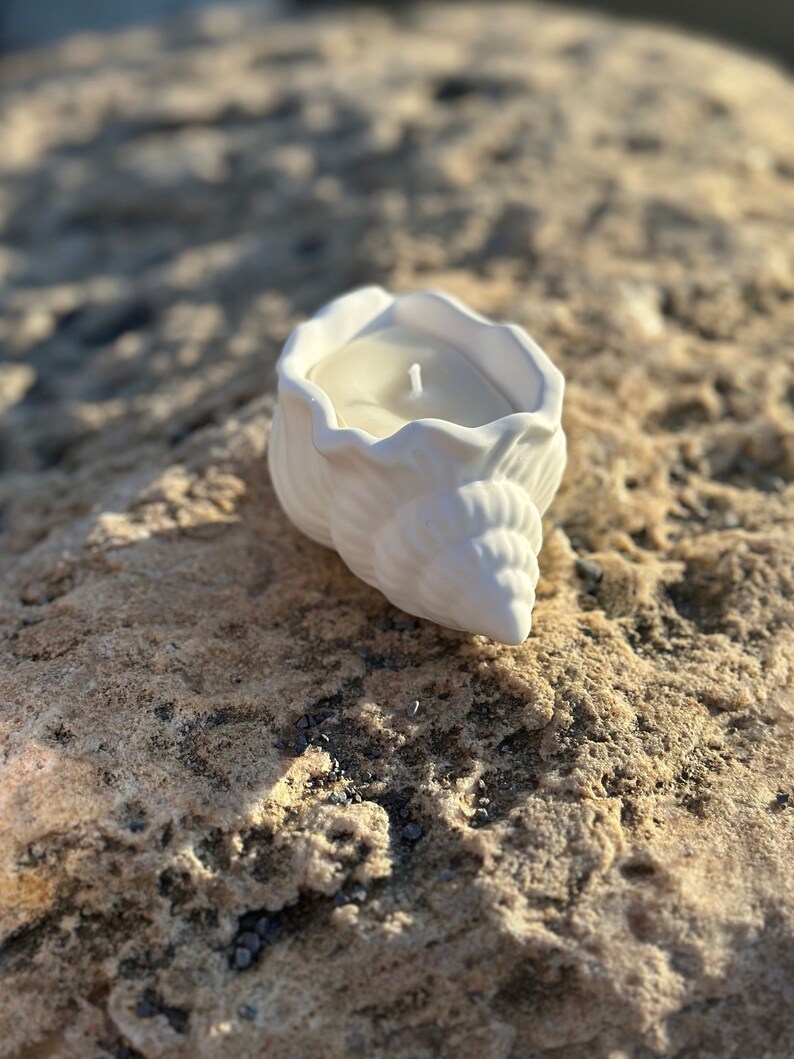 Sea Shell Candle Summer Decor Home Decor Decoration Soy Candle Gift - Etsy