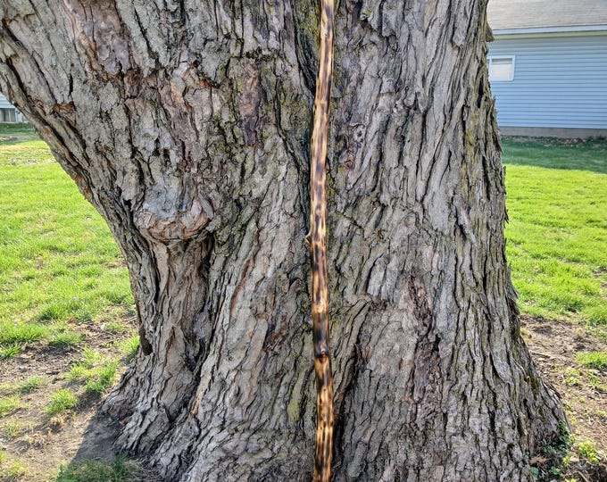Handcrafted 53-inch Ash Wood Walking Staff With Wood Burn Finish, No ...