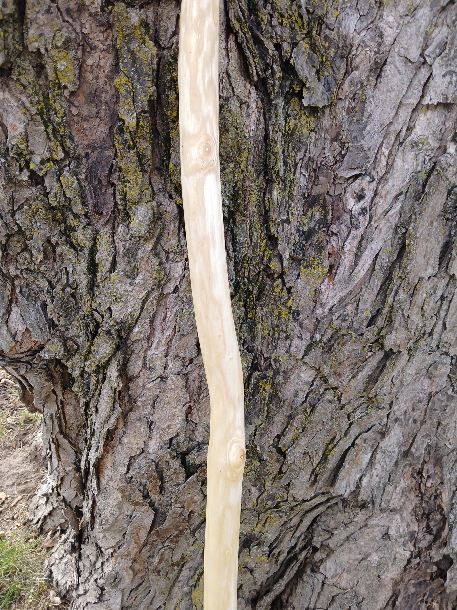 Handcrafted 65-inch Oak Walking Staff With Leather-wrapped Handle ...