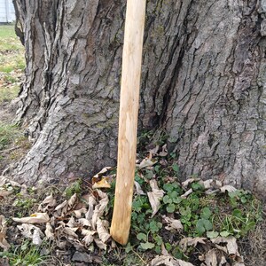 Handcrafted 57-inch Oak Walking Stick With Forked Design and Leather ...