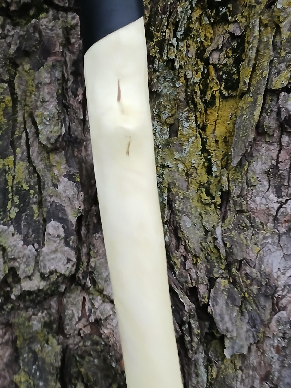 Handcrafted 68-inch Ash Walking Stick With Natural Bark Detailing and ...