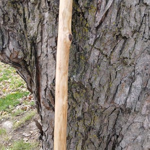 Handcrafted 57-inch Oak Walking Stick With Forked Design and Leather ...